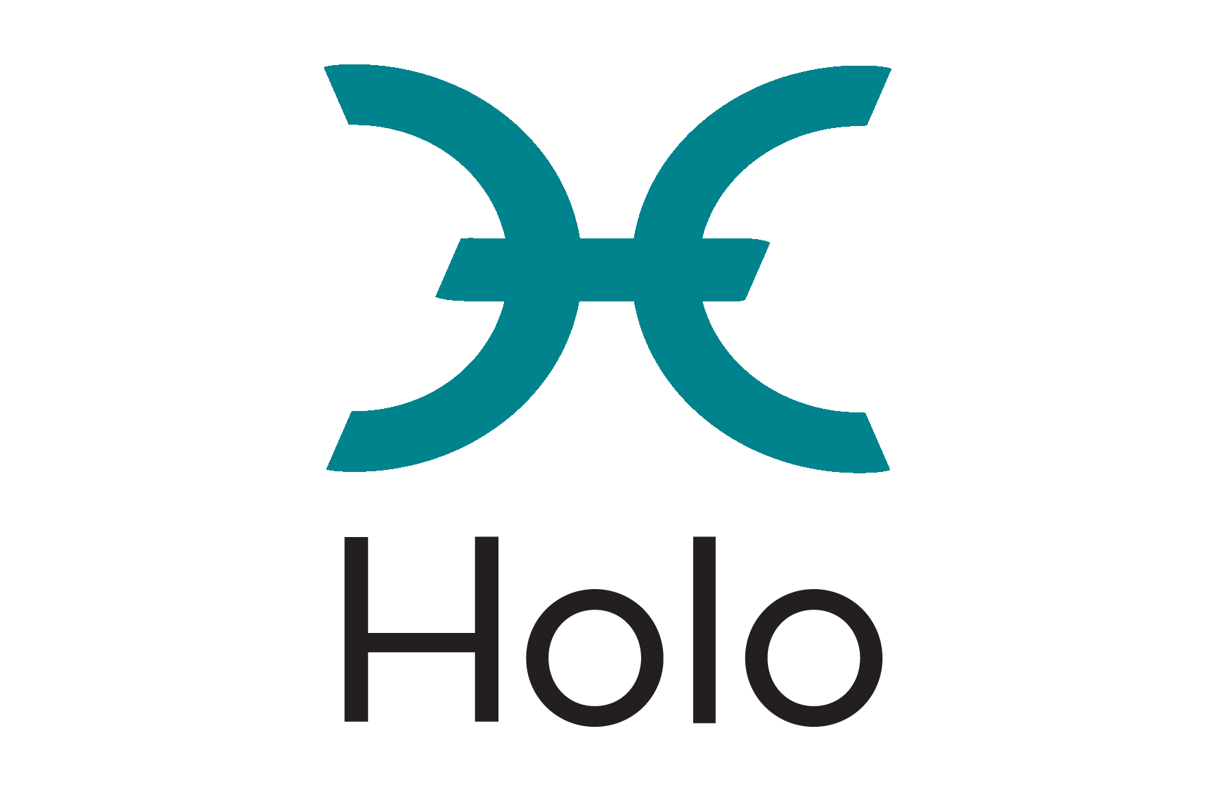 Director of Marketing Job at Holo Ltd