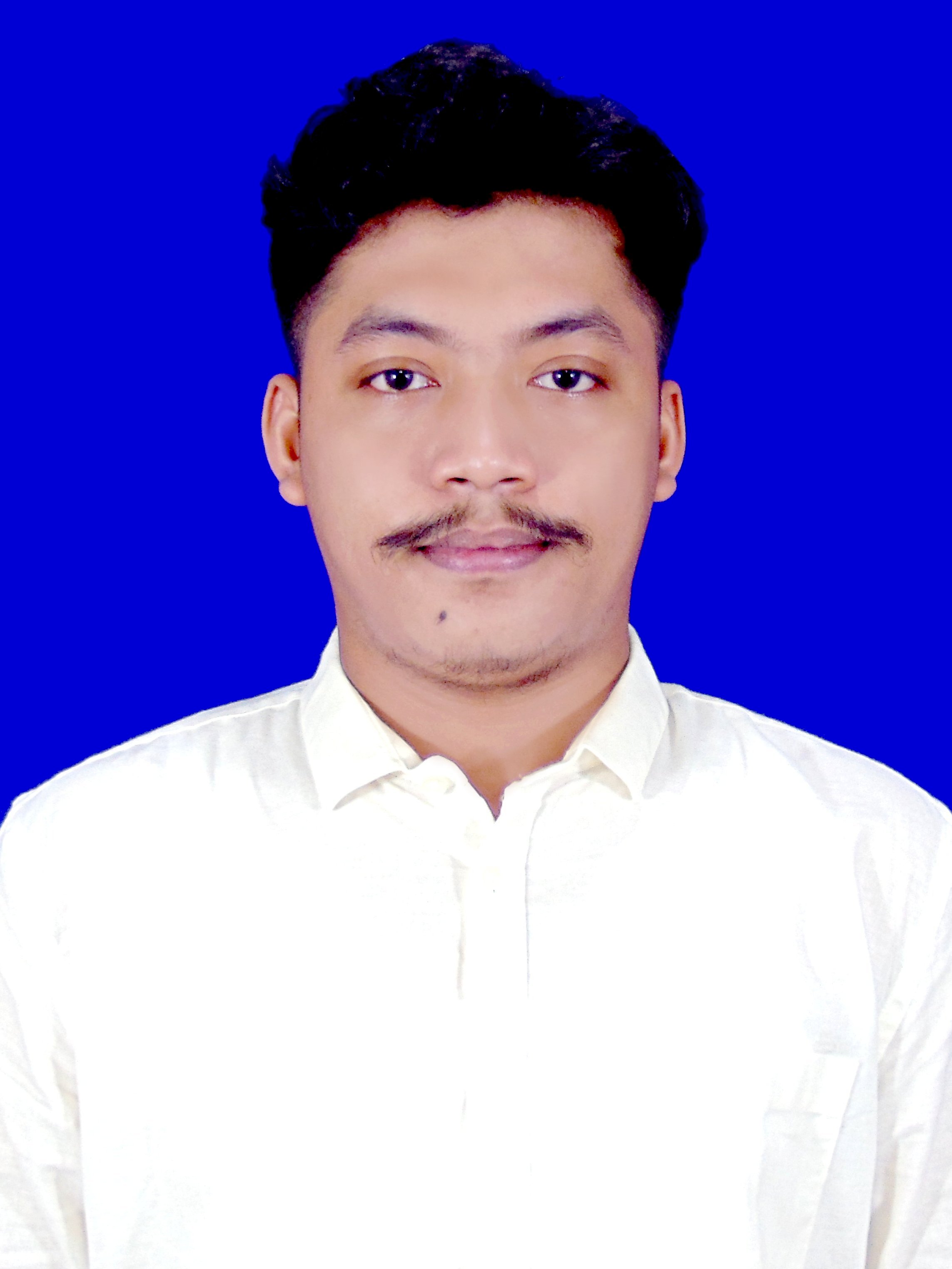 Blockchain Developer