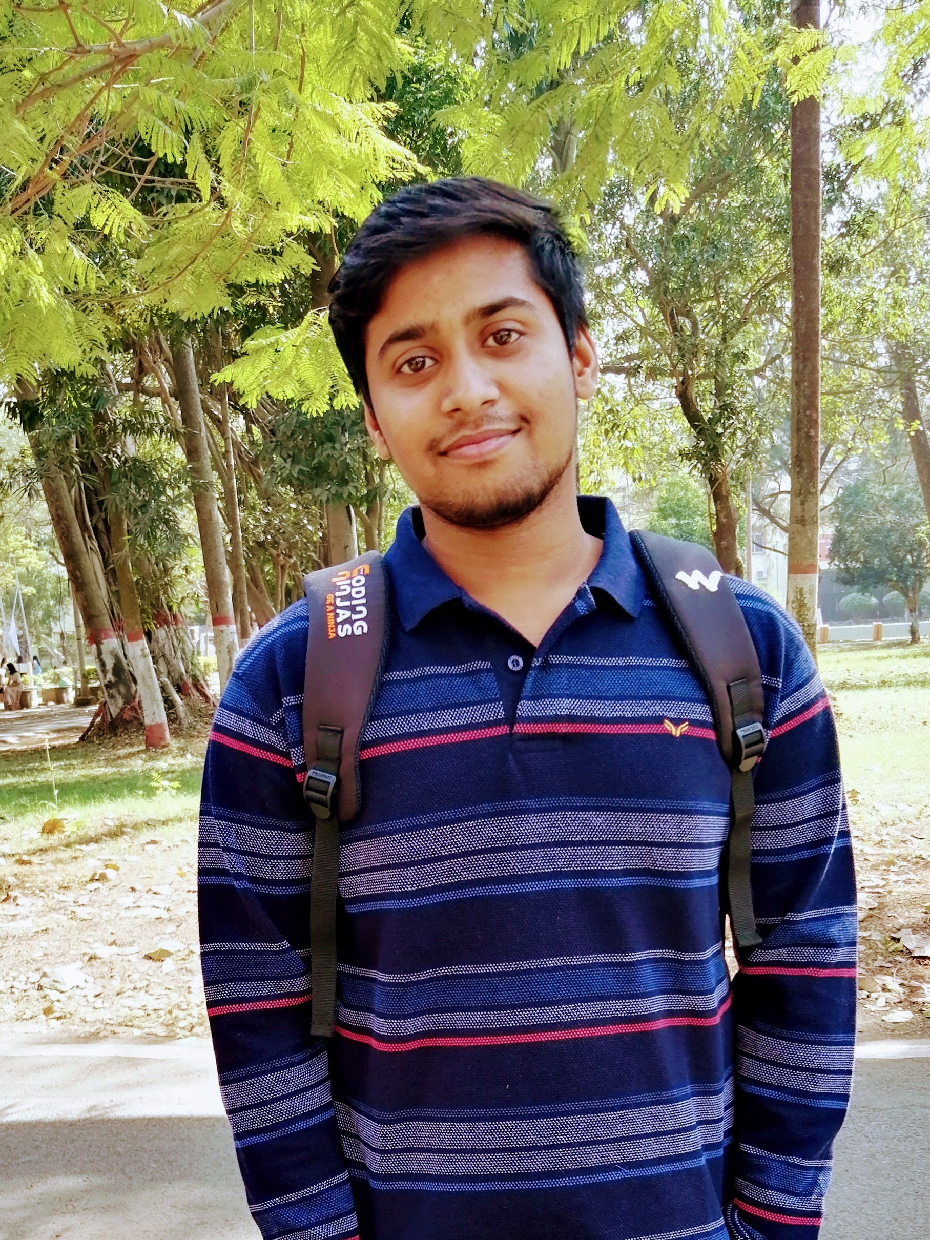 Solidity Developer Solidity Developer